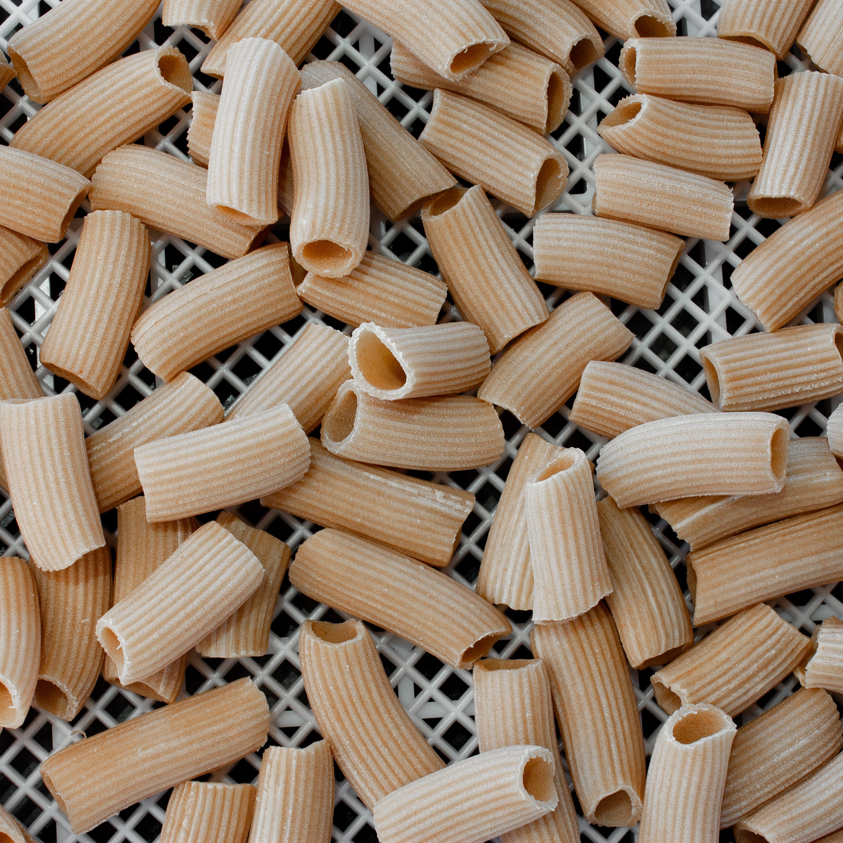 Baked Rigatoni alla Calabria – Trenchers Italian Farmhouse