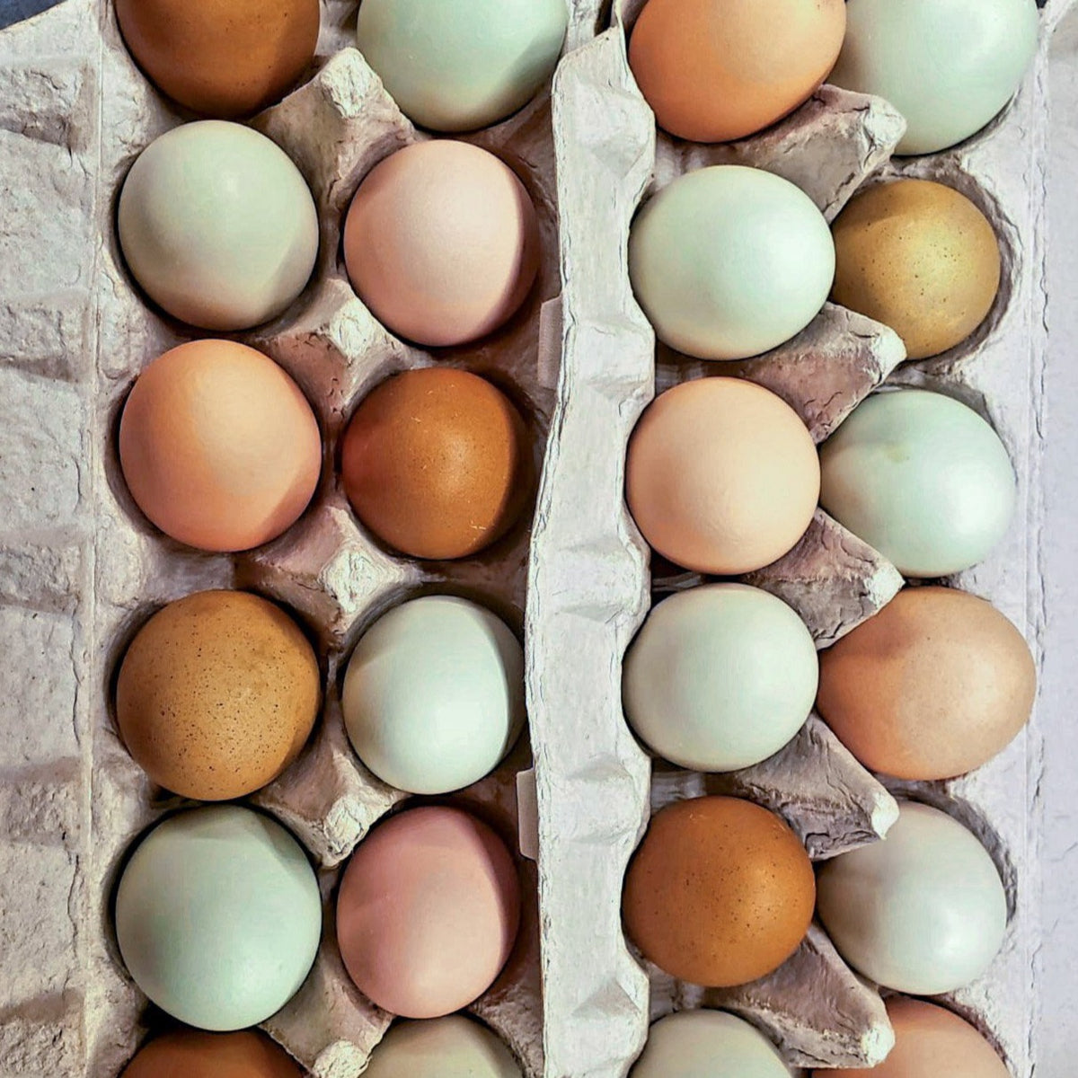 Farm Raised Eggs – Trenchers Italian Farmhouse
